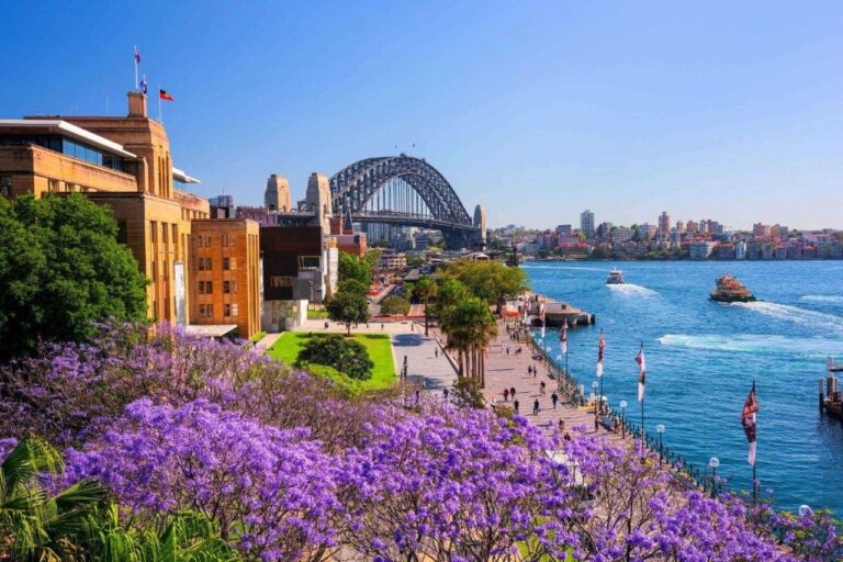 Iconic Sydney Eastern Suburbs & Beaches Private Charter - Australian ...